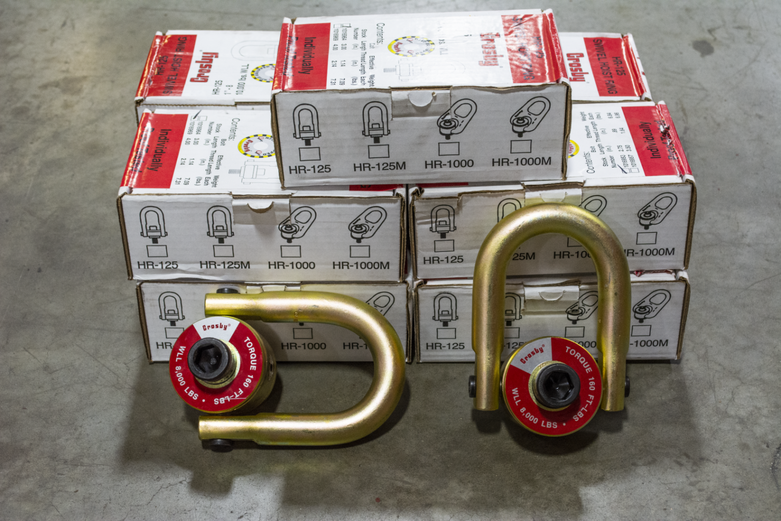 Hoist Rings - I&I Sling, Inc. - Rigging Hardware Specialists